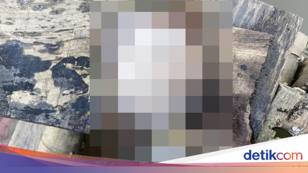 Ini Alasan Potongan Payudara Dibuang di Rawa-rawa Surabaya