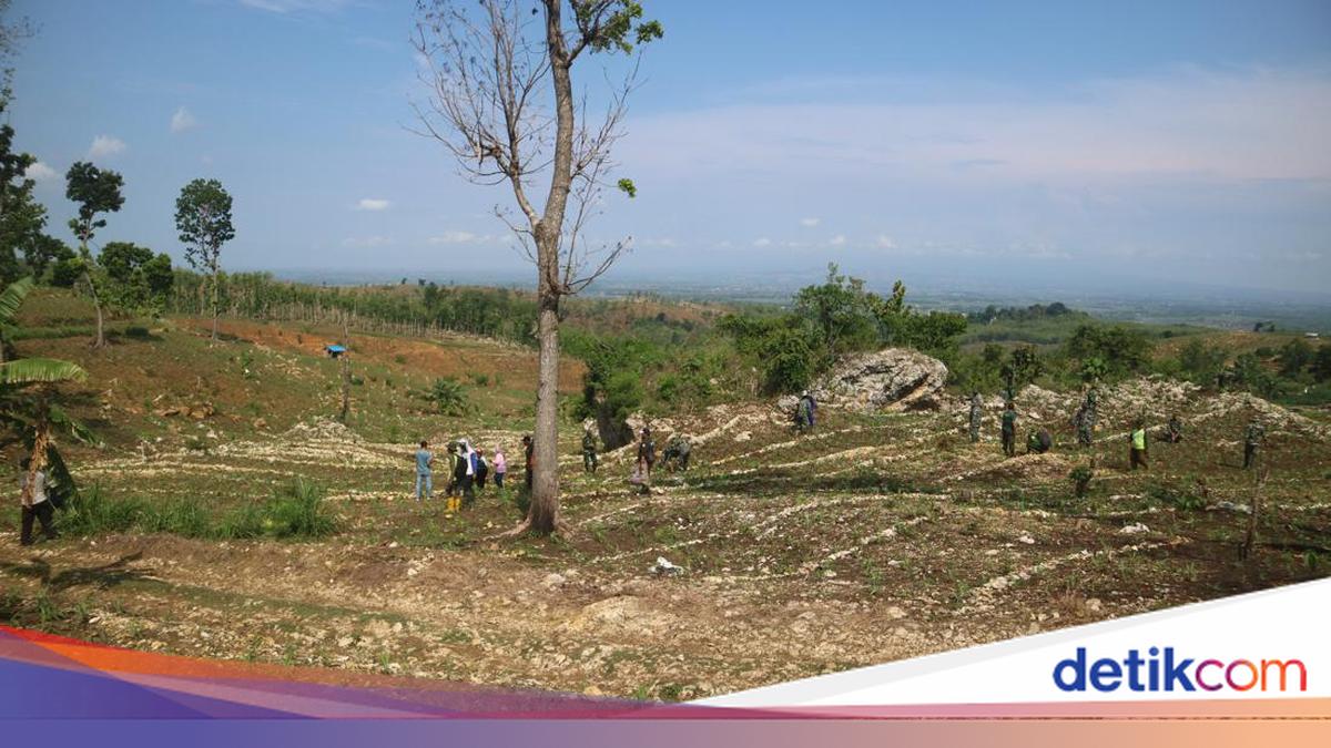 Miris! Lereng Pegunungan Kendeng Pati Gersang-Rawan Bencana Alam