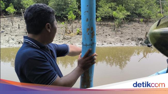 Penyelidikan Potongan Payudara di Rawa Surabaya Mengarah ke Wanita Asal NTT