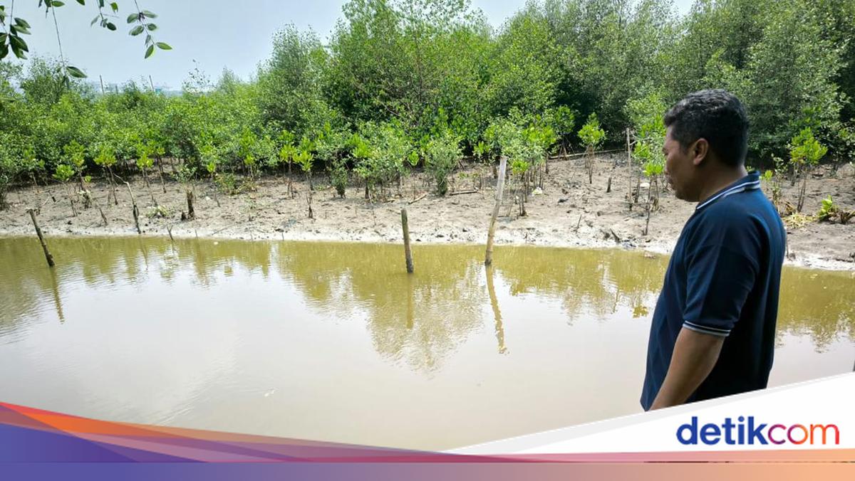 Potongan Payudara di Surabaya Ternyata Milik Pasien yang Operasi Kanker