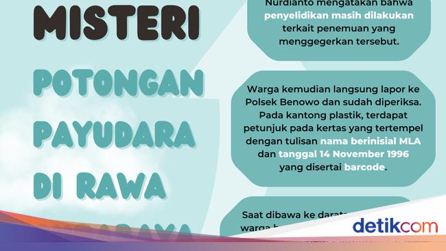 Infografis: Misteri Potongan Payudara di Rawa Surabaya