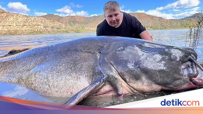 Bocah 11 Tahun Tangkap Ikan Lele Raksasa, Beratnya Bikin Pecah Rekor