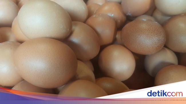 Ilmuwan Pecahkan Teka-teki Lebih Dulu Ayam atau Telur?