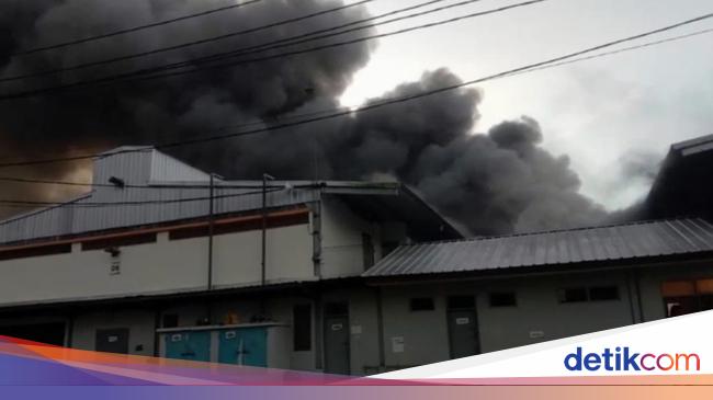 Peternakan Ayam di Sukabumi Terbakar