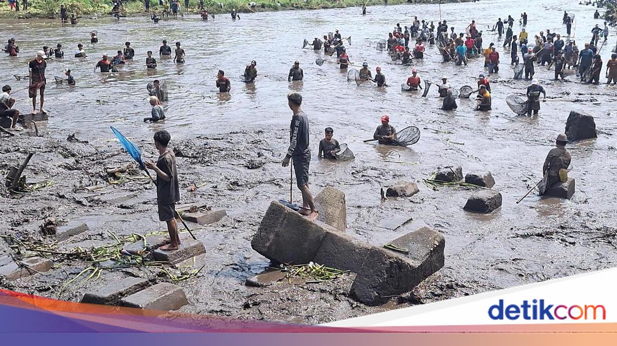 Melihat Asatan, Momen Berburu Ikan di Bendungan Sampean Baru Bondowoso