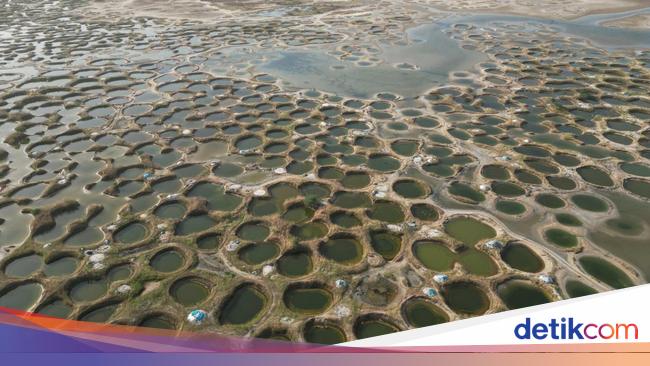 Pesona Sumur Garam di Senegal yang Jadi Warisan Dunia UNESCO