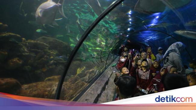 Sea World Ancol: Jam Buka, Fasilitas, dan Harga Tiket Masuk 2024