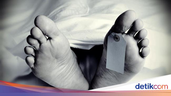 Ahli Anatomi Jelaskan Kondisi Pengawetan Cadaver, Semua yang Melekat ...