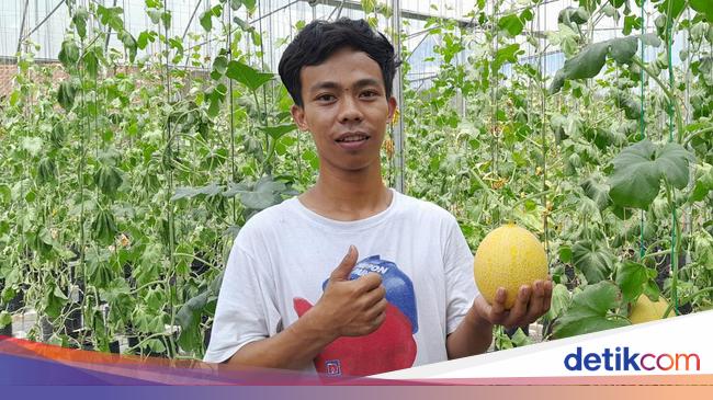 Melon Sultan Ala Santri di Ponpes Jamanis Pangandaran