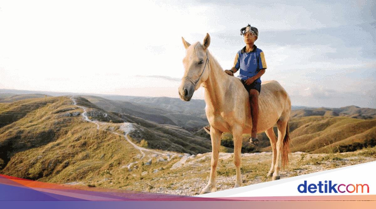 Ladang Cuan Anak Penunggang Kuda di Bukit Warinding
