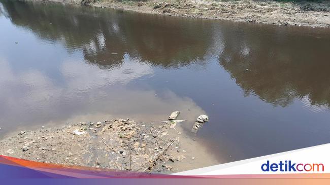 Penampakan Air Bengawan Solo Menghitam Diduga Tercemar Limbah Ciu