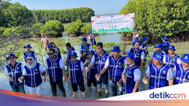 Dukung Net Zero Emission, PT TransJ Tanam 23 Ribu Manggrove di Pulau Harapan