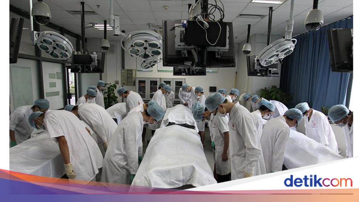 Apa Itu Cadaver? Ini Sejarah dan Aturan Penggunaannya dalam Pendikan ...