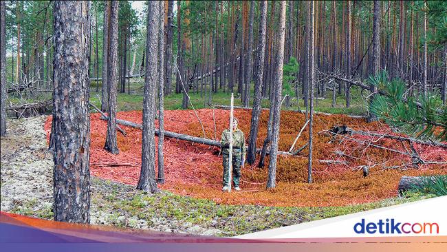 Wujud Benteng Tertua di Dunia Berusia 8.000 Tahun, Bukti Kecanggihan ...