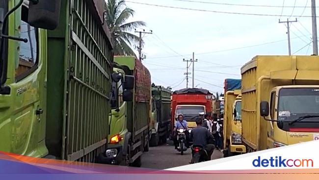Operasional Truk Batu Bara Jalur Darat di Jambi Disetop Lagi Gegara Bikin Macet