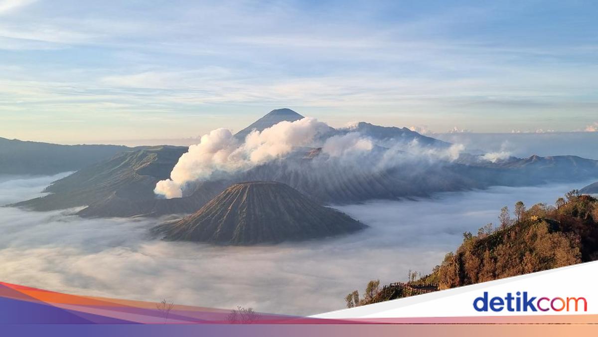 Lengkap! Info Harga Tiket Terbaru Bromo dan Biaya Berkemah di Ranu Regulo