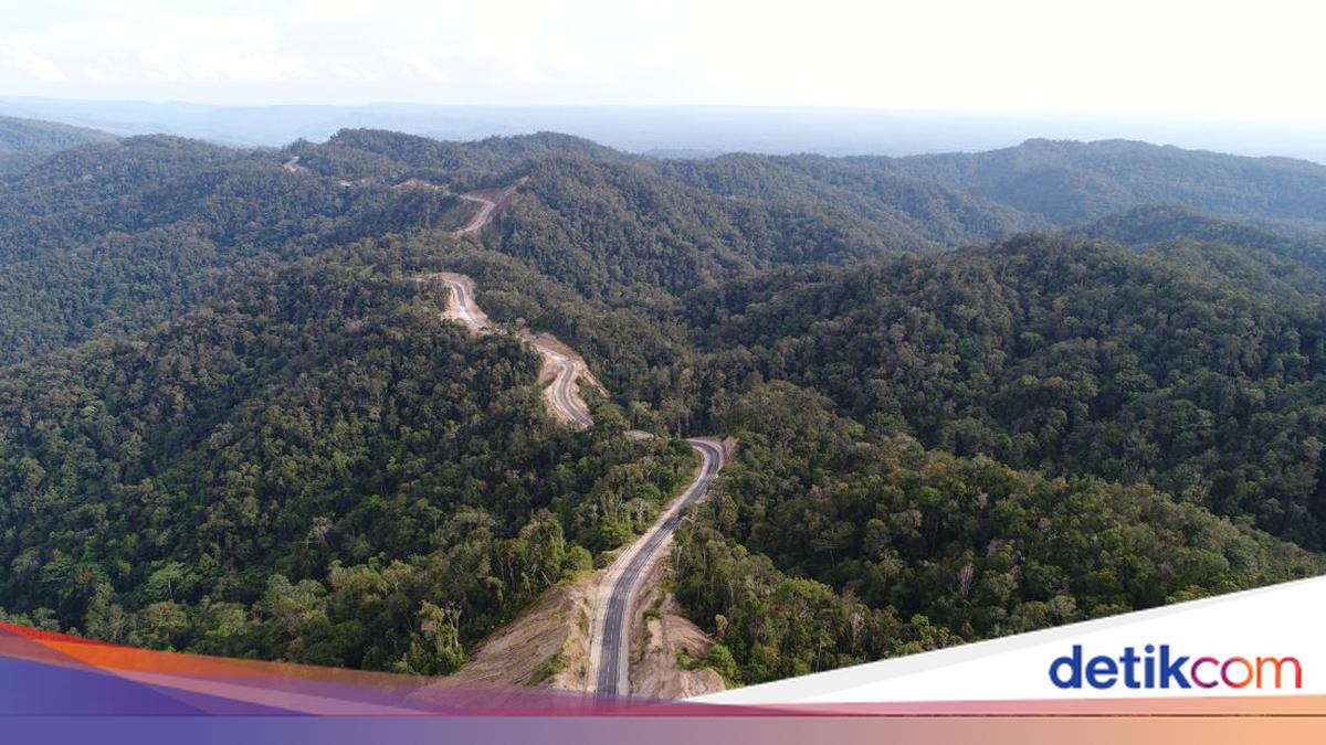 Mengintip Jalan Trans Papua Meliuk Membelah Petik Bintang
