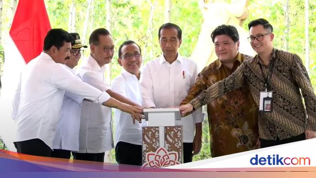Jokowi Minta Hal Ini ke Pengembang Nusantara Superblock di IKN