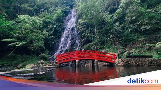 Mengungkap Keindahan Curug dan Serunya Aktivitas Damar Adventure!