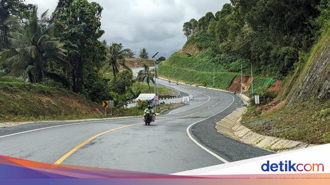 Jalur Pansela Tersambung 1.313 Km, Mudik Bisa Sambil Cuci Mata