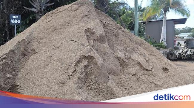 Kisaran Harga Pasir 1 Colt Terbaru 2025 Sesuai Jenisnya