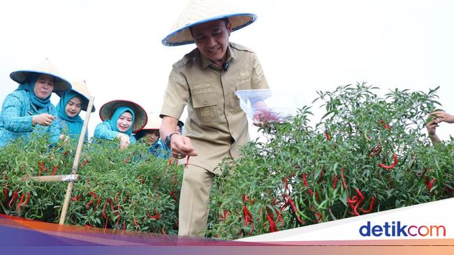 Tekan Inflasi, Pj Walkot Palembang Minta Camat-Lurah Tanam Cabai