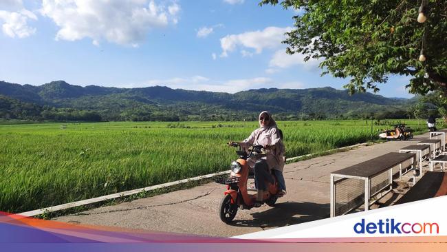 Yang Hijau-hijau di Jogja, Wisata Tepi Sawah di Geblek Pari Nanggulan