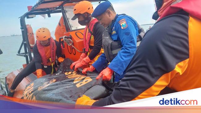 Kronologi Penemuan Jenazah Mahasiswa IPB yang Sempat Hilang di Pulau Sempu Kronologi Penemuan Jenazah Mahasiswa IPB yang Sempat Hilang di Pulau Sempu