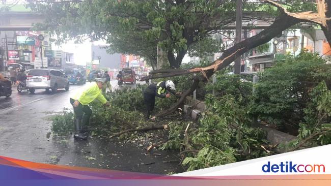 Pohon Tumbang di Jalan Margonda Depok, Lalin ke Simpang Juanda Macet