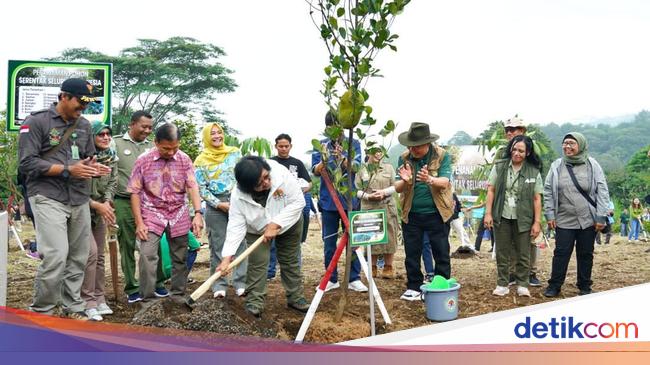 KLHK Tanam Pohon Serentak di 38 Provinsi Indonesia