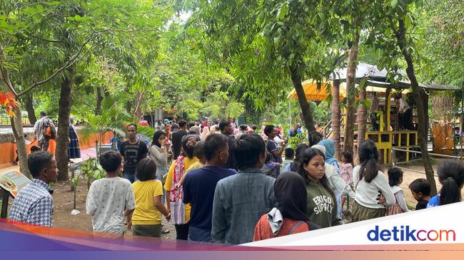 40 Ribu Pengunjung Serbu KBS pada 1 Januari 2024