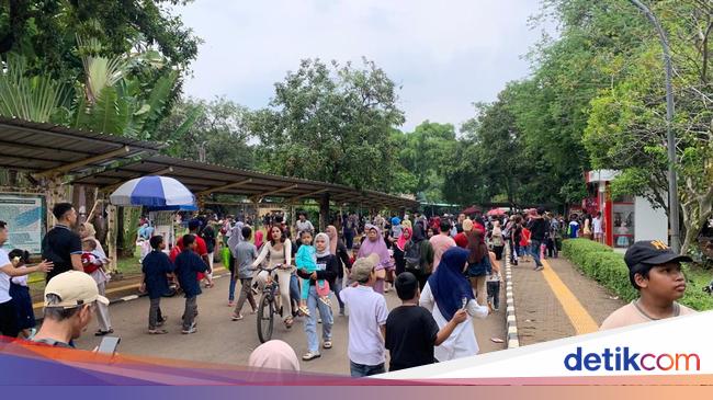 Pengunjung Ragunan Membeludak, Pengelola Tambah 10 Kantong Parkir