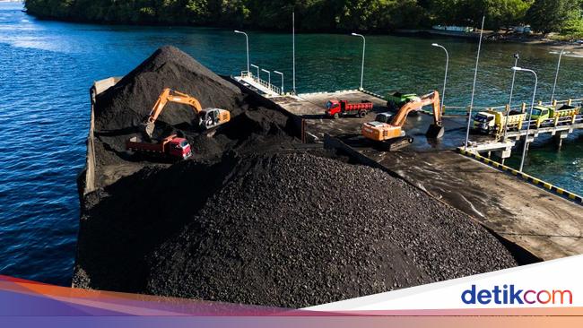 Kebutuhan Batu Bara Meningkat, Begini Proses Bongkar Muat di PLTU Tidore
