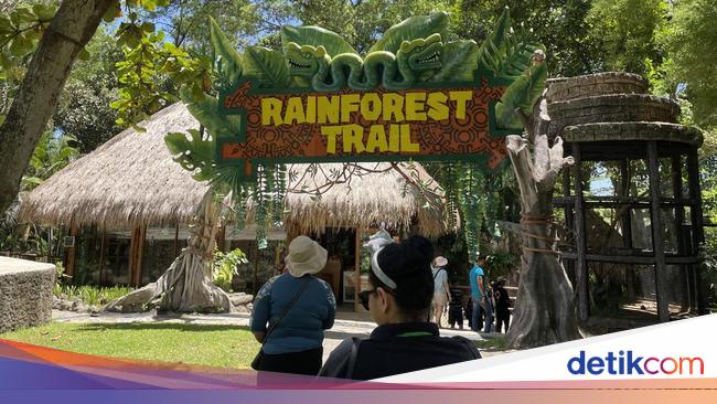 Liburan Seru di Taman Safari Bali