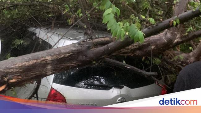 Hujan-Angin Kencang di Kartasura, Pohon Tumbang Timpa Mobil Parkir