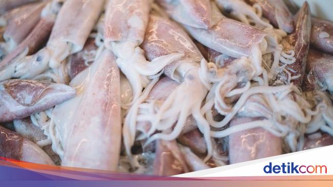 Apa Perbedaan Cumi-cumi dan Sotong? Ini Penjelasannya