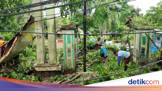 Diterjang Angin Kencang, Pohon Raksasa di Palembang Tumbang