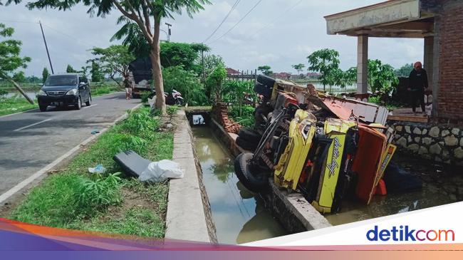 Truk Beras di Klaten Nyebur Sawah gegara Hindari Kucing Truk Beras di Klaten Nyebur Sawah gegara Hindari Kucing