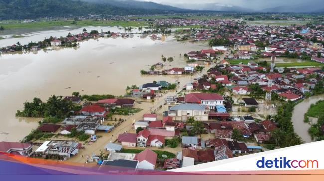 73% Kawasan Hutan Hilang Sebabkan Bencana Banjir Besar di Jambi
