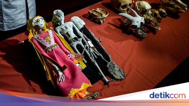 Fakta-fakta Jasad 'Mumi Alien' yang Bikin Heboh Dunia, Ternyata Hasil ...