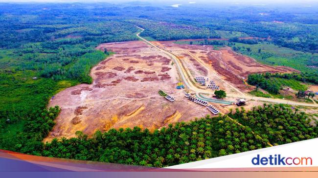 Masalah Tumpang Tindih Lahan Turun Drastis dalam 5 Tahun, Ini Datanya