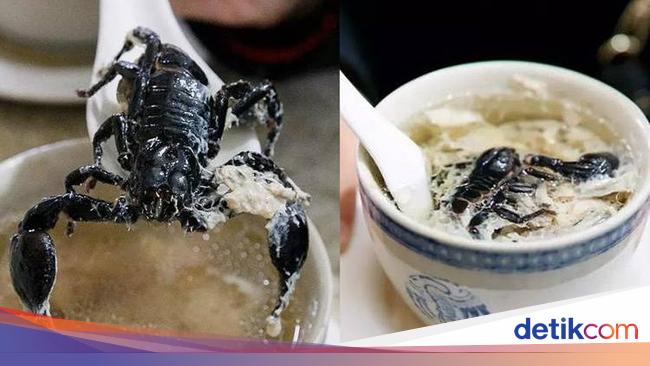 Ekstrem! 5 Makanan Enak dan Populer Ini Pakai Topping Kalajengking