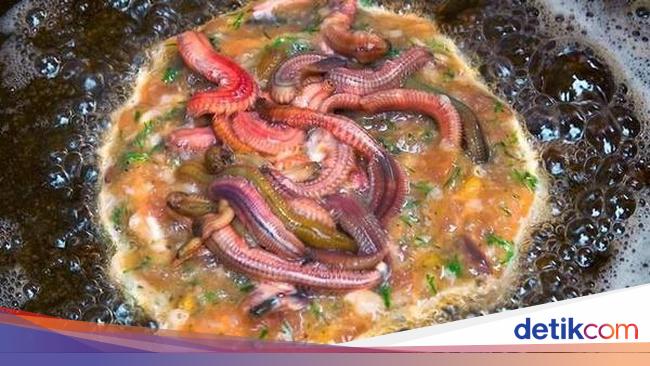 Geli Enak! 5 Makanan Populer di Manca Negara Ini Diolah dari Cacing