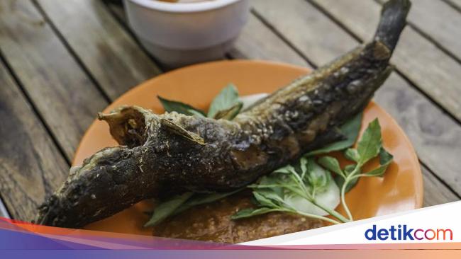 7 Dampak Makan Ikan Lele, Jantung yang Sehat hingga Risiko Radang Usus