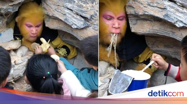 Taman Bermain Ini Buka Lowonngan 'Raja Kera', Dapat Makanan Enak dan ...