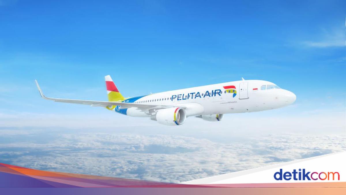 Ntap! Pelita Air Tambah Rute Baru: Jakarta-Kendari-Jakarta