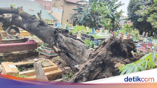 20 Makam di TPU Kawah Tengkurep Rusak Usai Tertimpa Pohon Tumbang