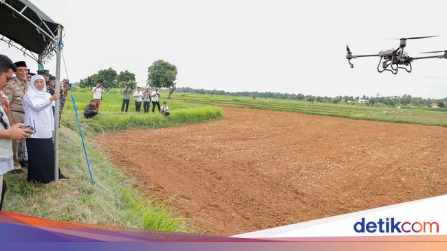 Saat Khofifah Tanam Kedelai Pakai Drone di Bangkalan
