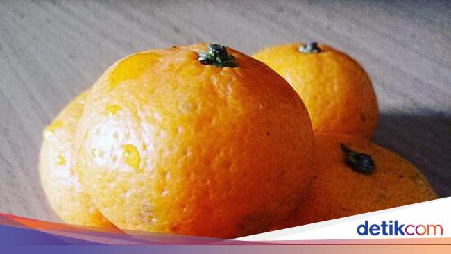Agar Tak Salah Beli, Ini Tips Memilih Jeruk Santang yang Manis dan Segar