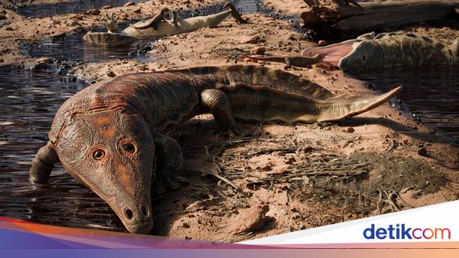 Nenek Moyang Amfibi Berekor dari 249 Juta Tahun Lalu, Mirip Buaya